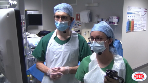 Echo-endoscopie pancréatique : techniques de réalisation, description ...