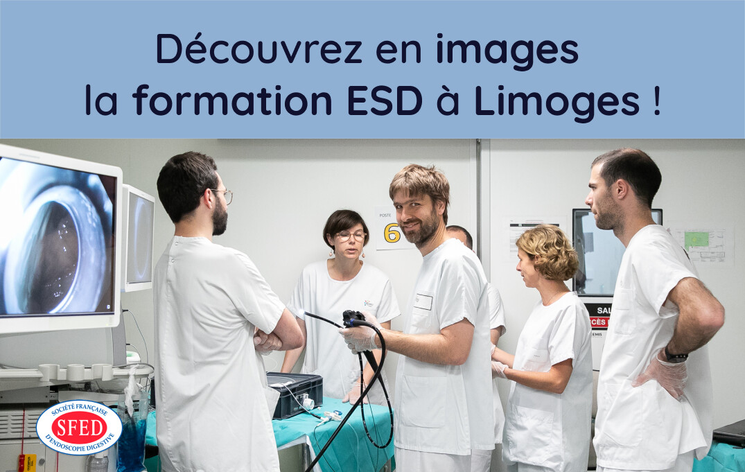 La formation ESD à Limoges en images ! – SFED